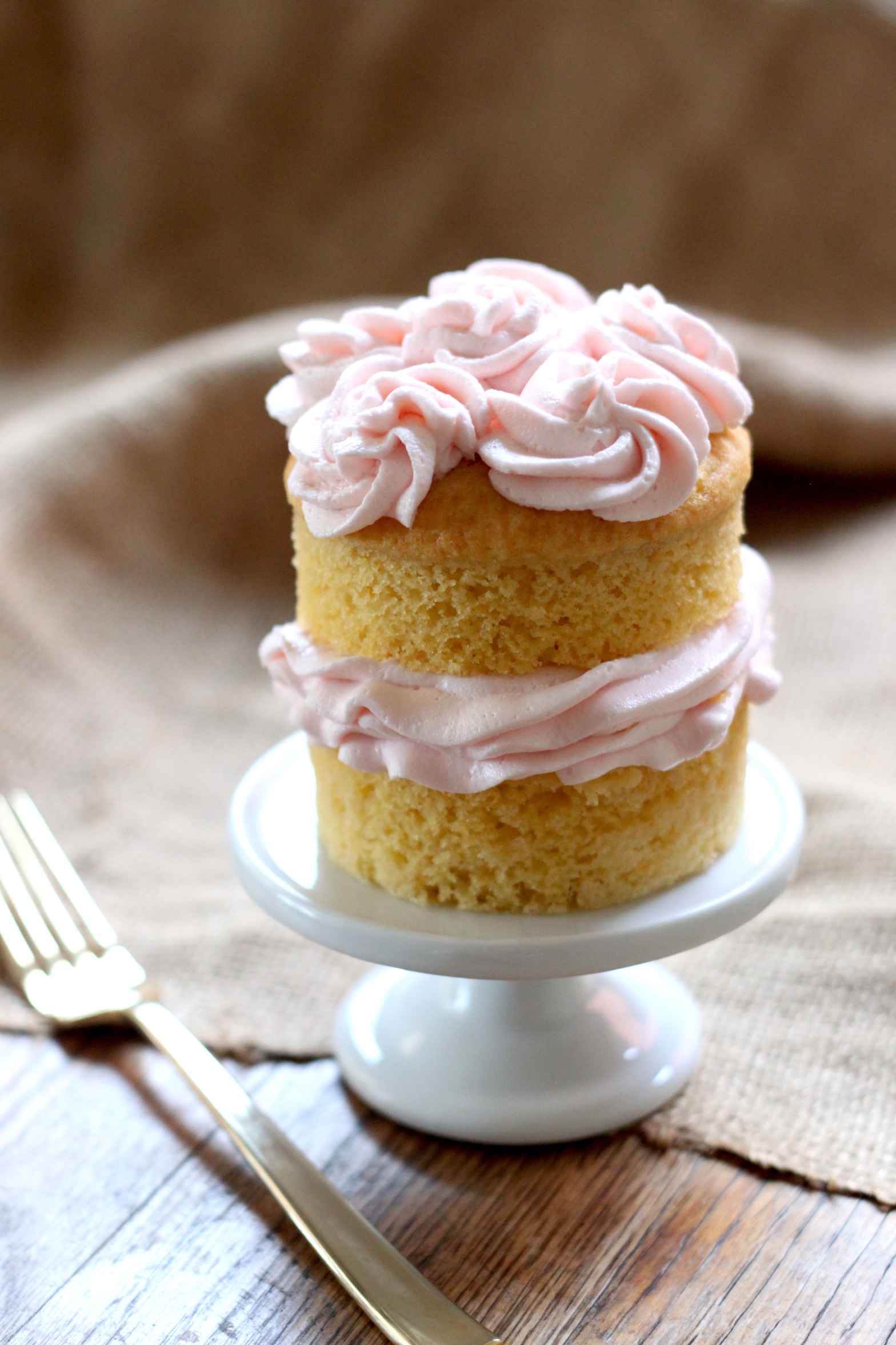 Easy Mini Cakes Jessica Burns